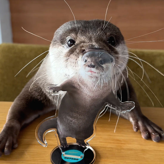 OTTER KOTARO ACRYLIC STAND FIGURE – KOTSUMET OFFICIALSTORE